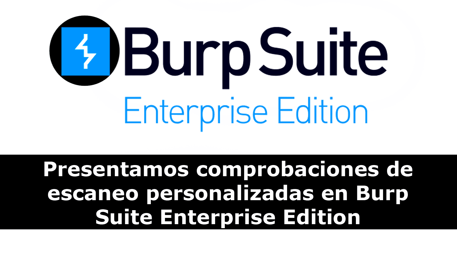 Presentamos comprobaciones de escaneo personalizadas en Burp Suite ...